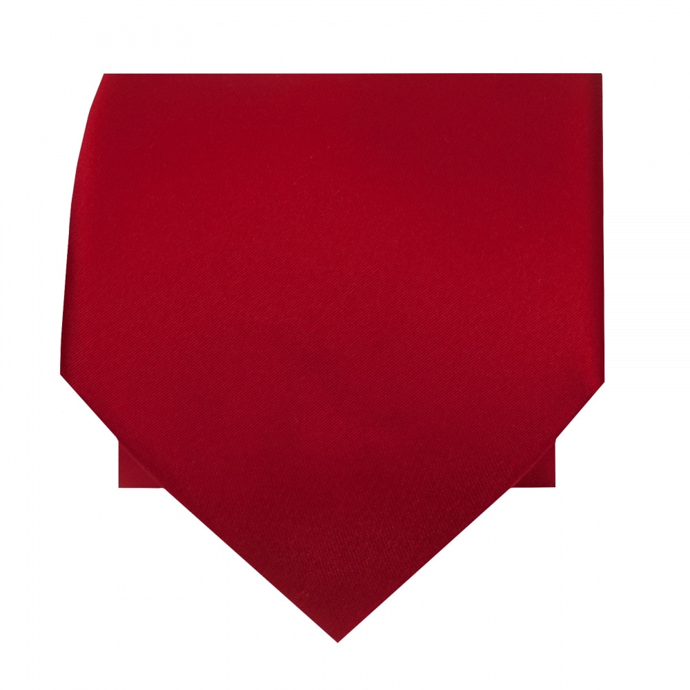 Plain | Scarlet Red | Satin Silk | Classic | Men's | Tie